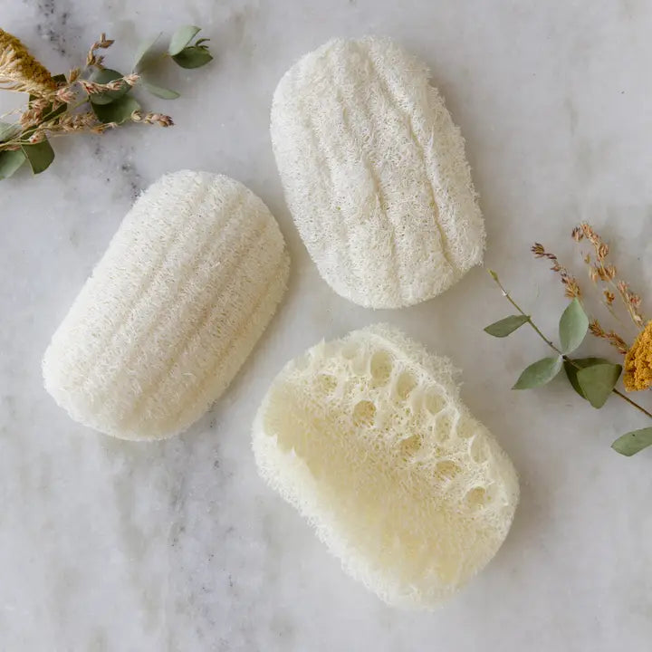 Compostable Loofah Dish Sponge 3-Pack – Nudge Eco Store