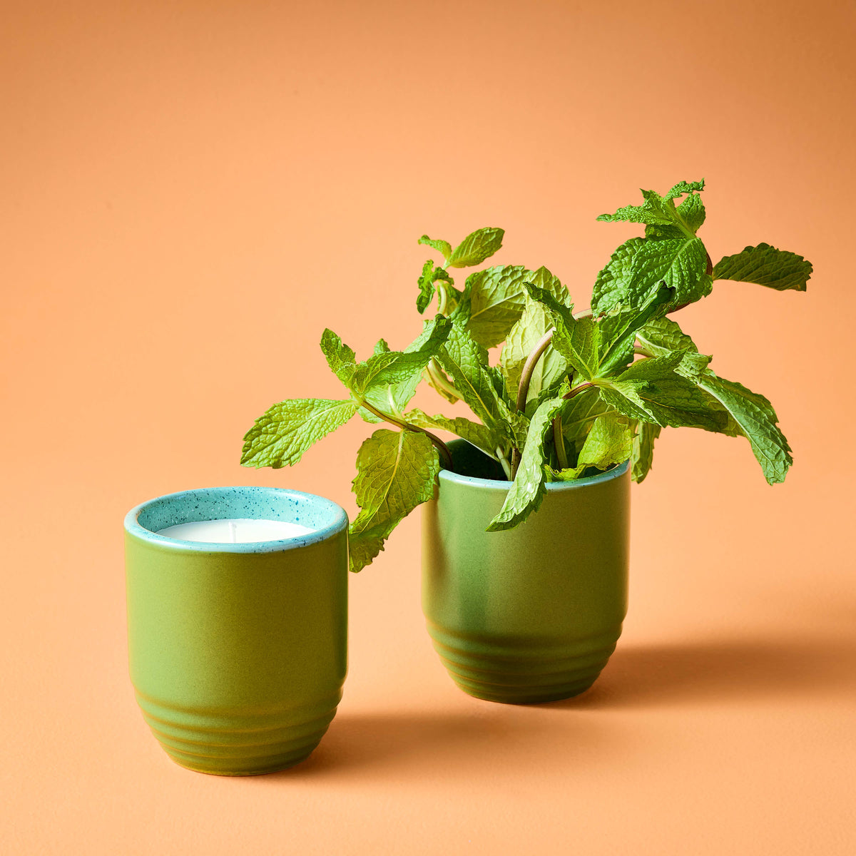 Garden Vibes Candle/Planter 2-in-1 – Nudge Eco Store